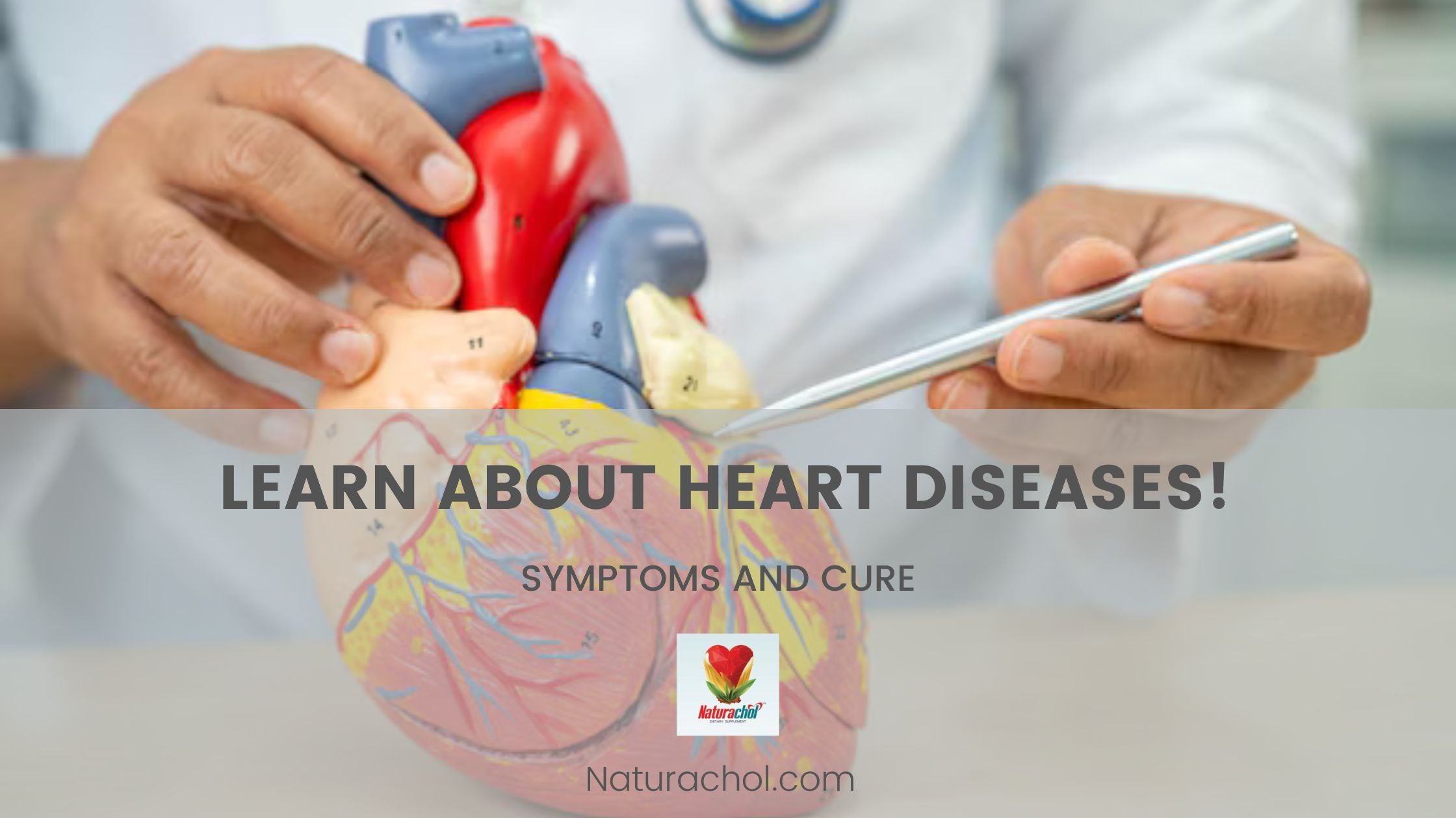 What are the Symptoms and Cure of Chronic Heart Disease? – Naturachol