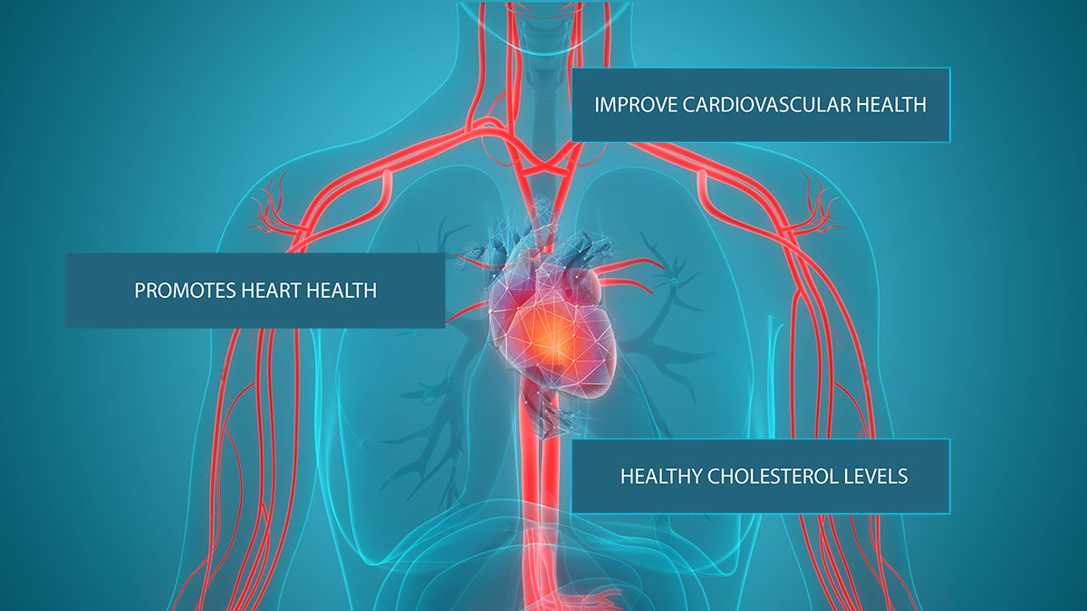 The Benefits of Naturachol Cholesterol Lowering Supplement Explained